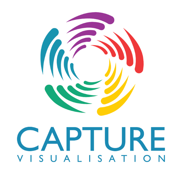 Capture Solo Visualisation Software